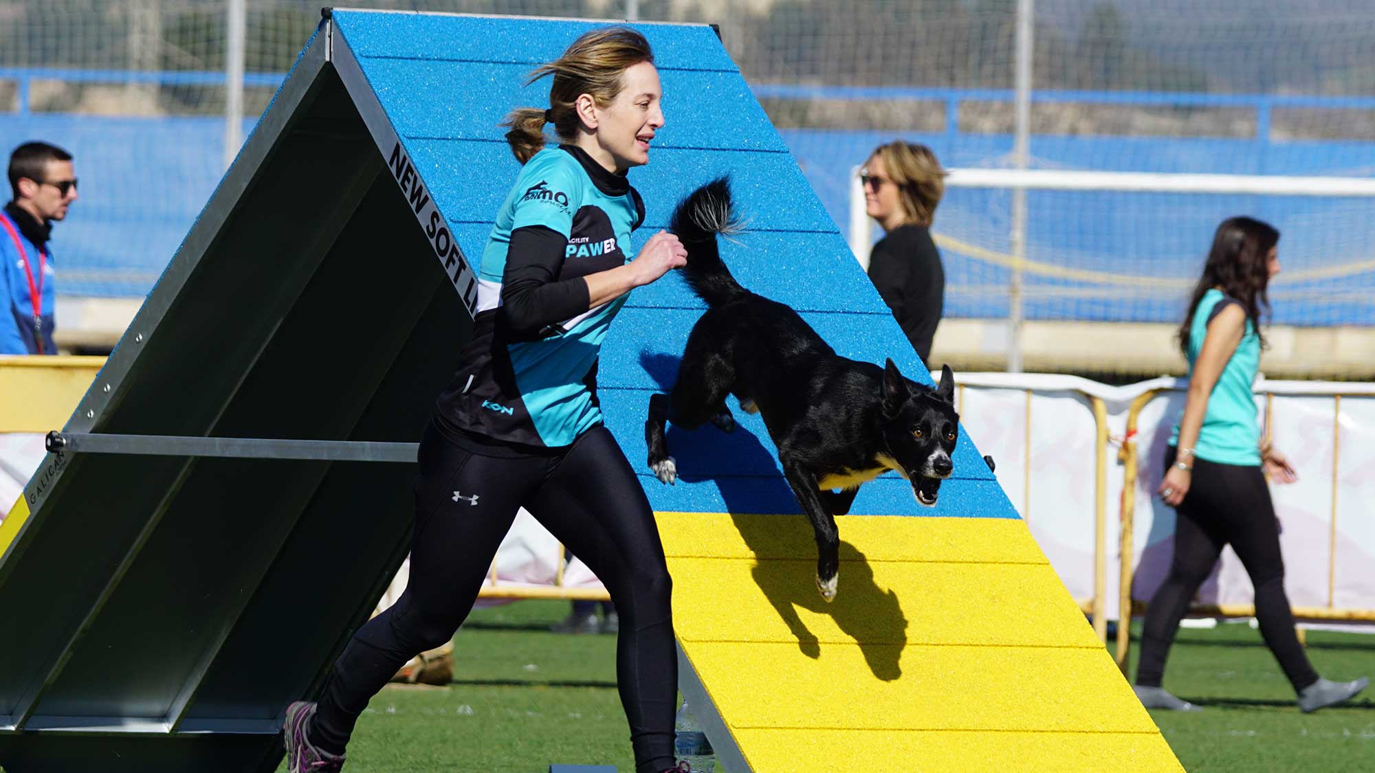 Agility – Agility Pawer